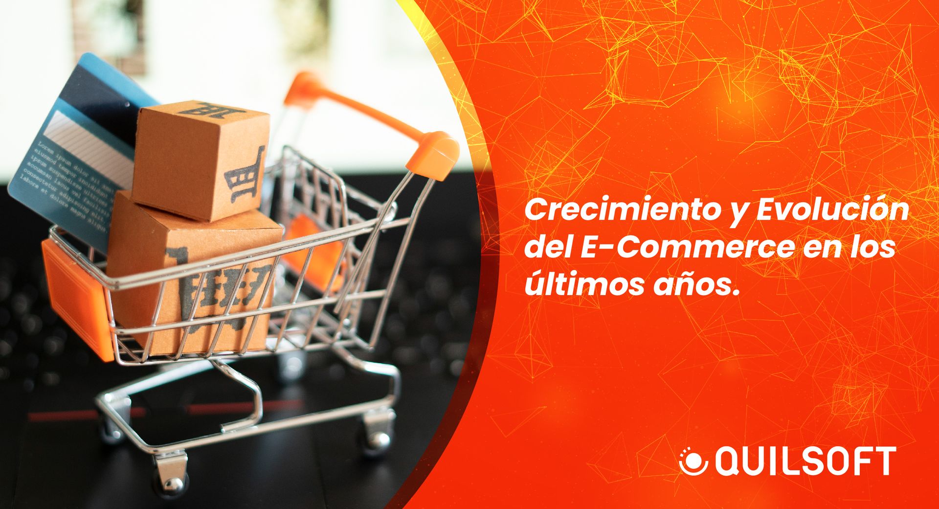Crecimiento y Evolución del E-Commerce en los últimos años.